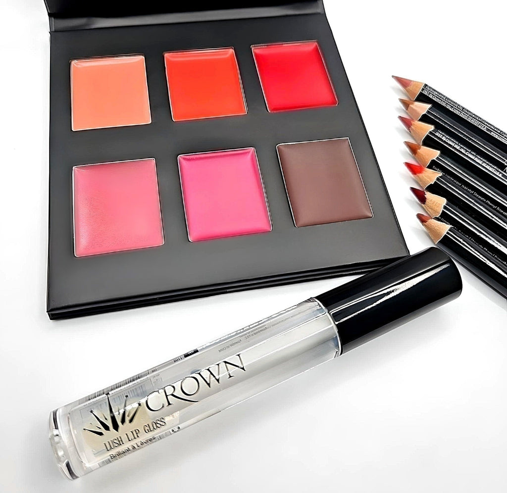 6 COLOR PRO LIP PALETTE 6LP